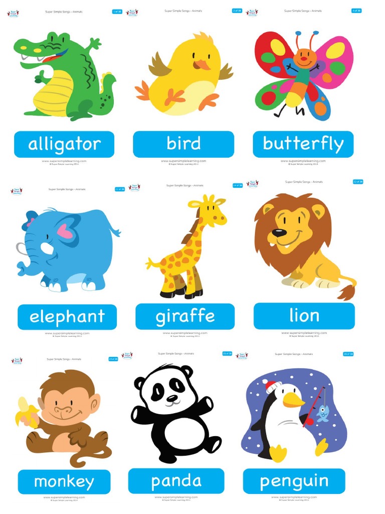 Flashcard Animal | PDF