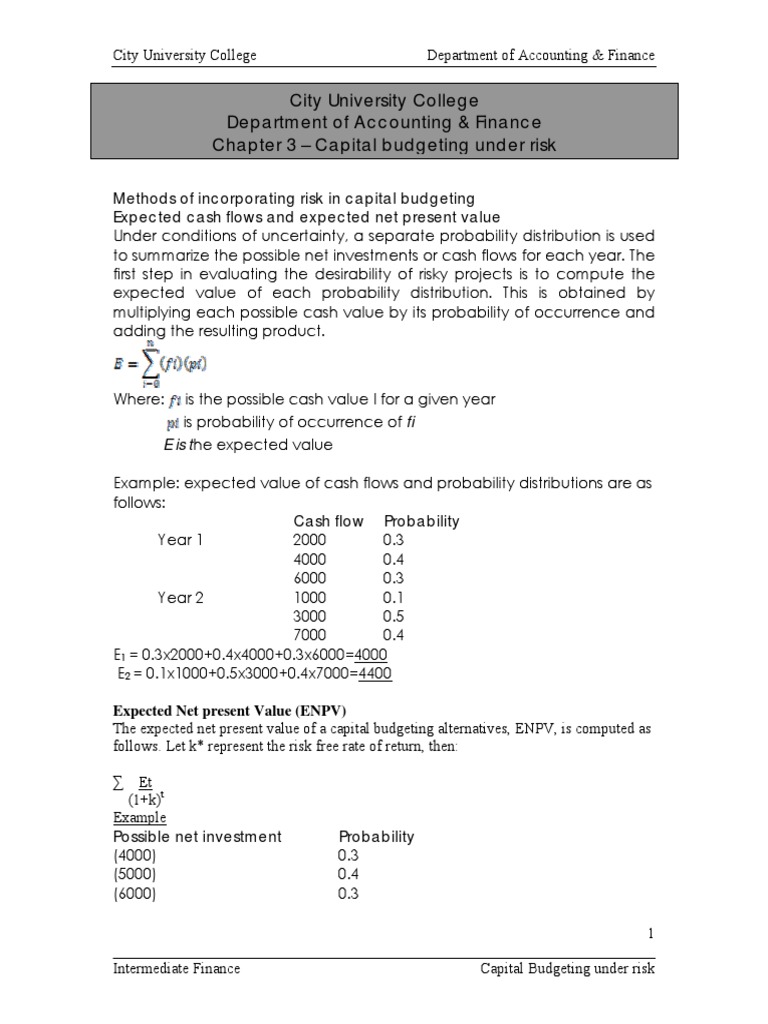 Chapter 2 - Capital Budgeting Under Risk | PDF | Net Present Value | Capital Budgeting