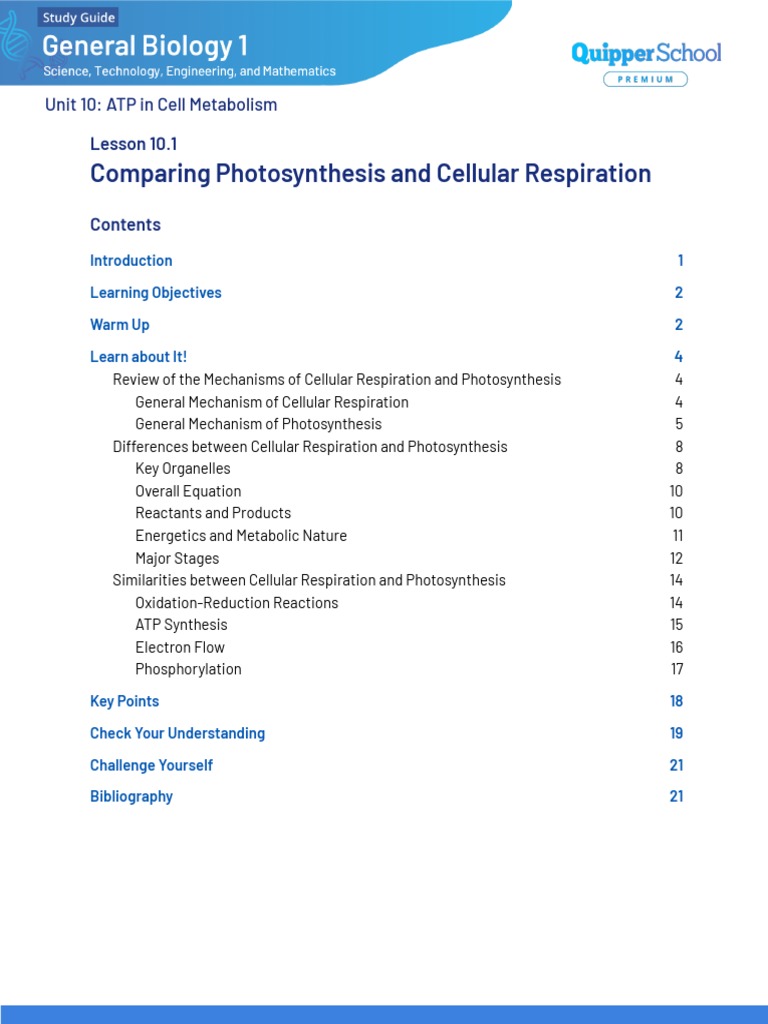 Photosynthesis vs. Respiration Guide | PDF | Cellular Respiration ...