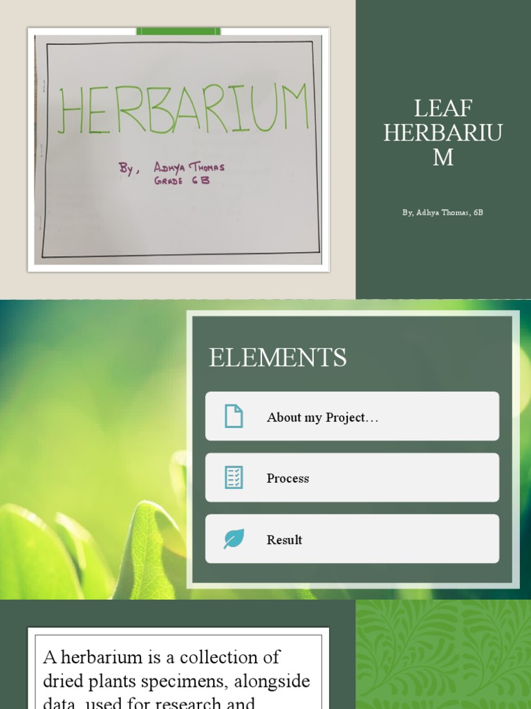 Leaf Herbarium | PDF
