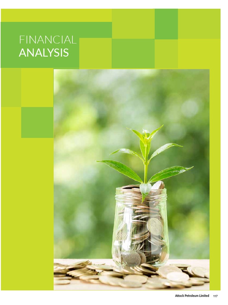 Financial Performance PDF Equity Finance Revenue