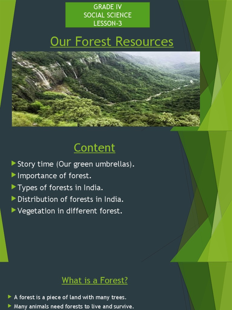 Our Forest Resources | PDF | Trees | Forests