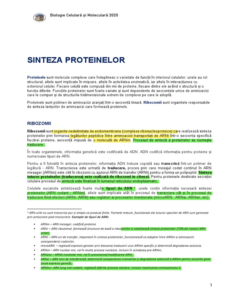 C4 - Sinteza Proteinelor - 2020 | PDF
