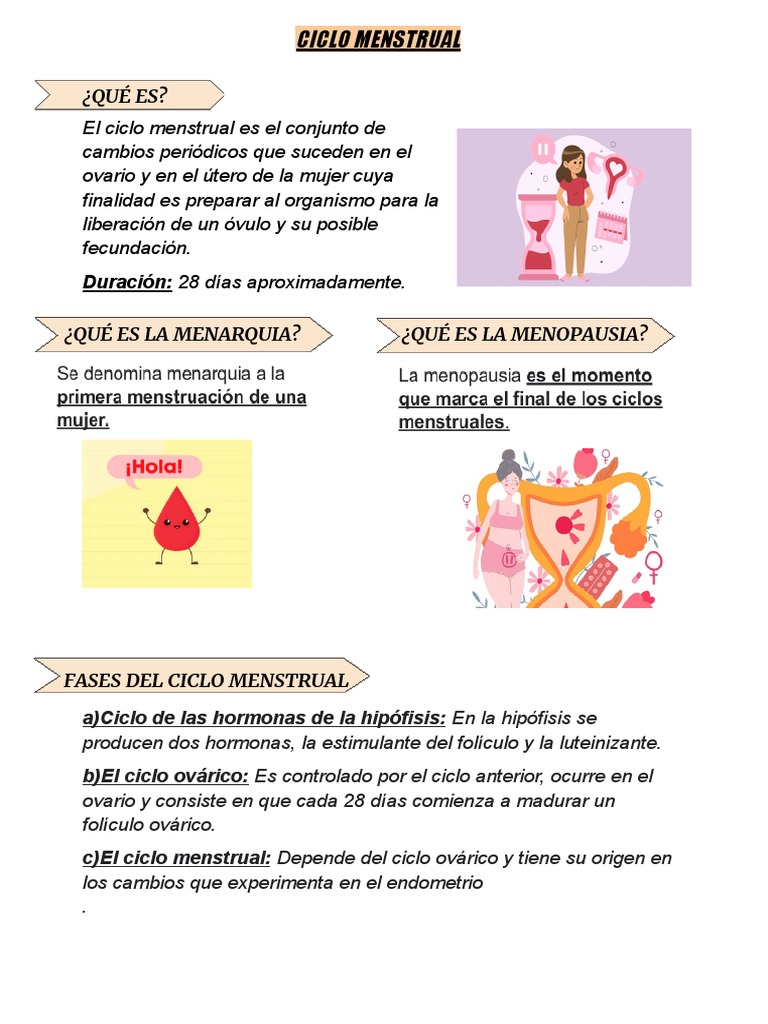 Ciclo Menstrual | PDF | Ciclo menstrual | Ovario