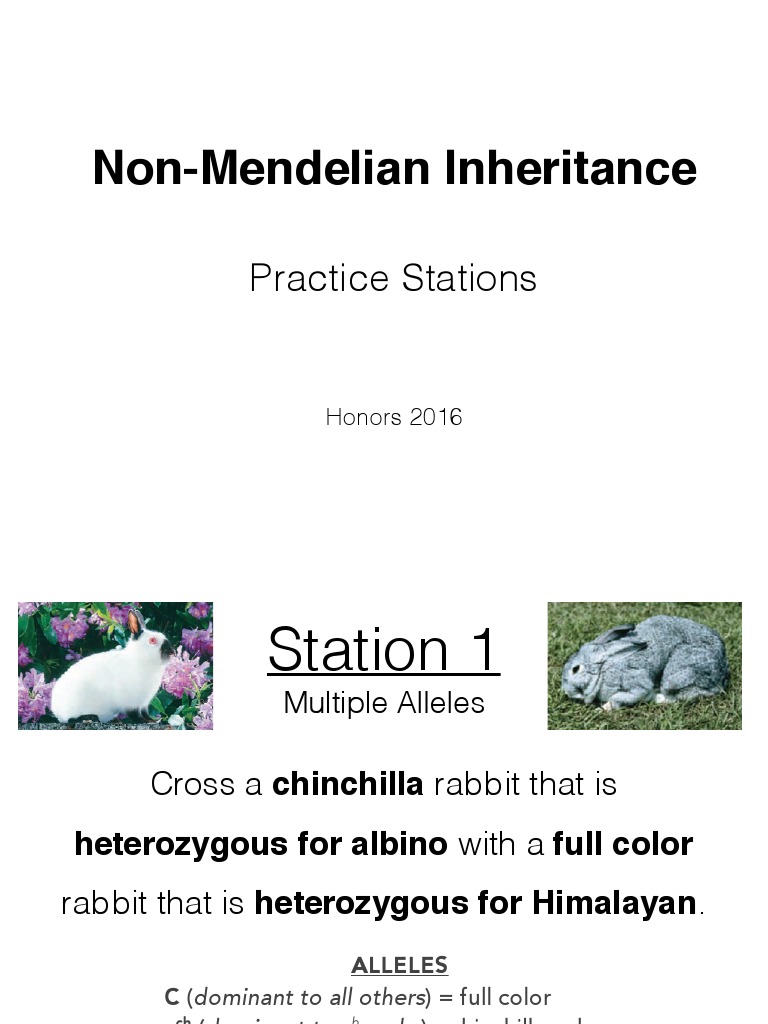 Non-Mendelian Inheritance Practice Stations 2018 | PDF | Dominance (Genetics) | Allele