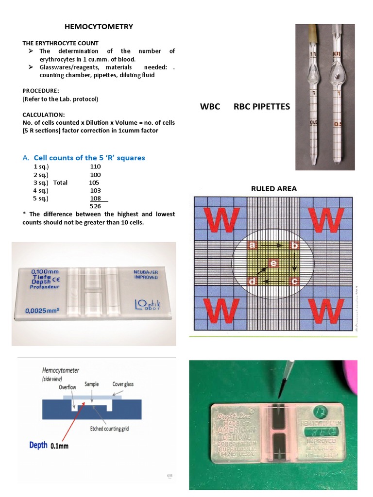 6 HEMA Hemacytometry | PDF | White Blood Cell | Anemia