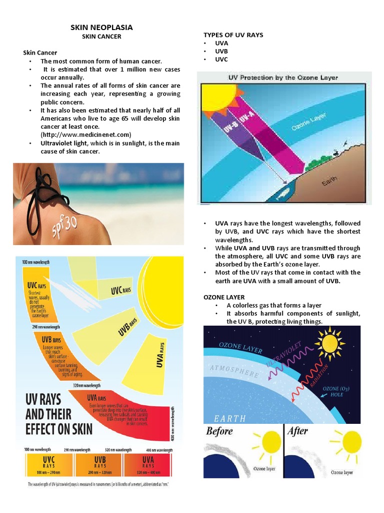 Histopath Reviewer Lecture PPT 5 | PDF