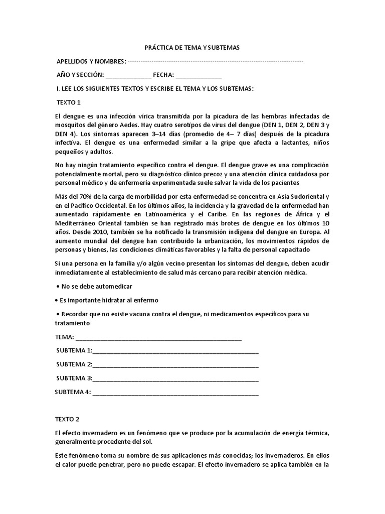 Práctica de Tema y Subtemas | PDF