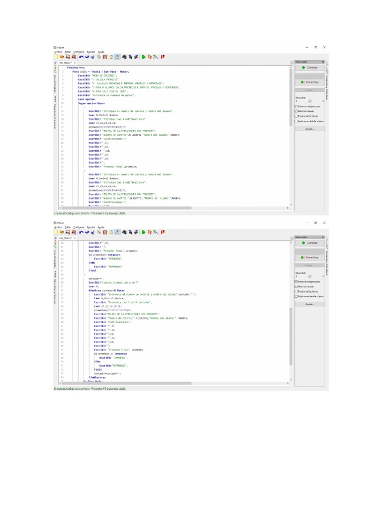 EXAMEN FINAL Pseint | PDF
