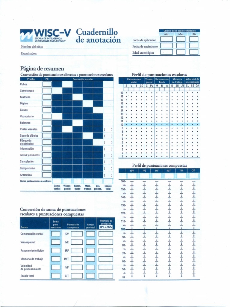 Protocolo Wisc V | PDF