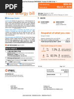Sample PSEG Bill | PDF