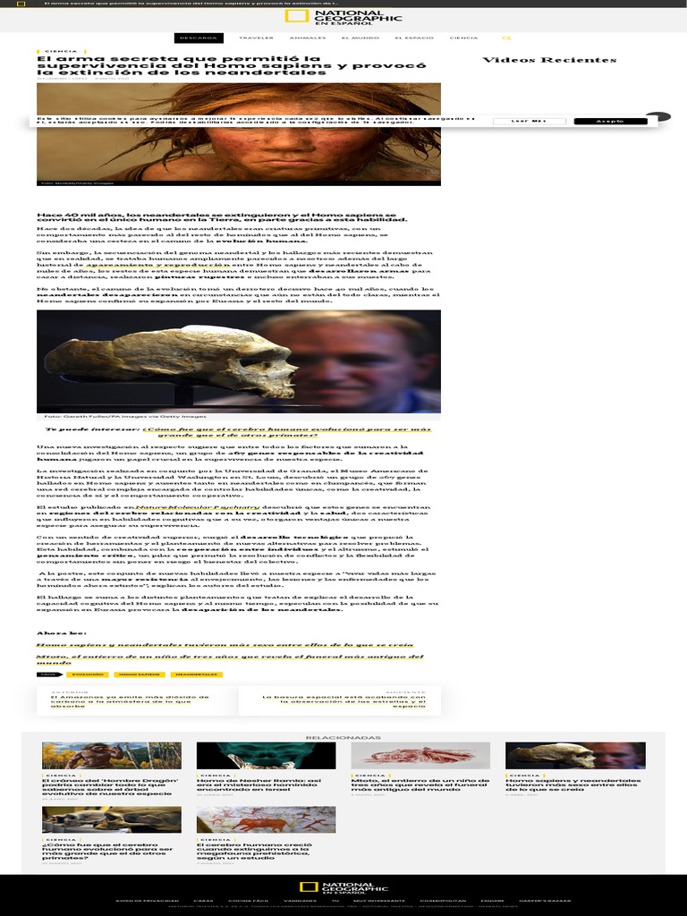 El Arma Secreta Que Permitió La Supervivencia Del Homo Sapiens y Provocó La Extinción de Los ...