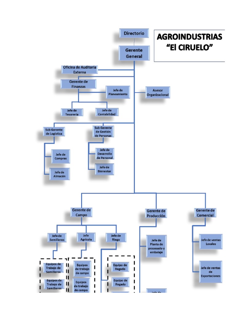 Solucionario Organigrama Agroindustrias El Ciruelo | PDF