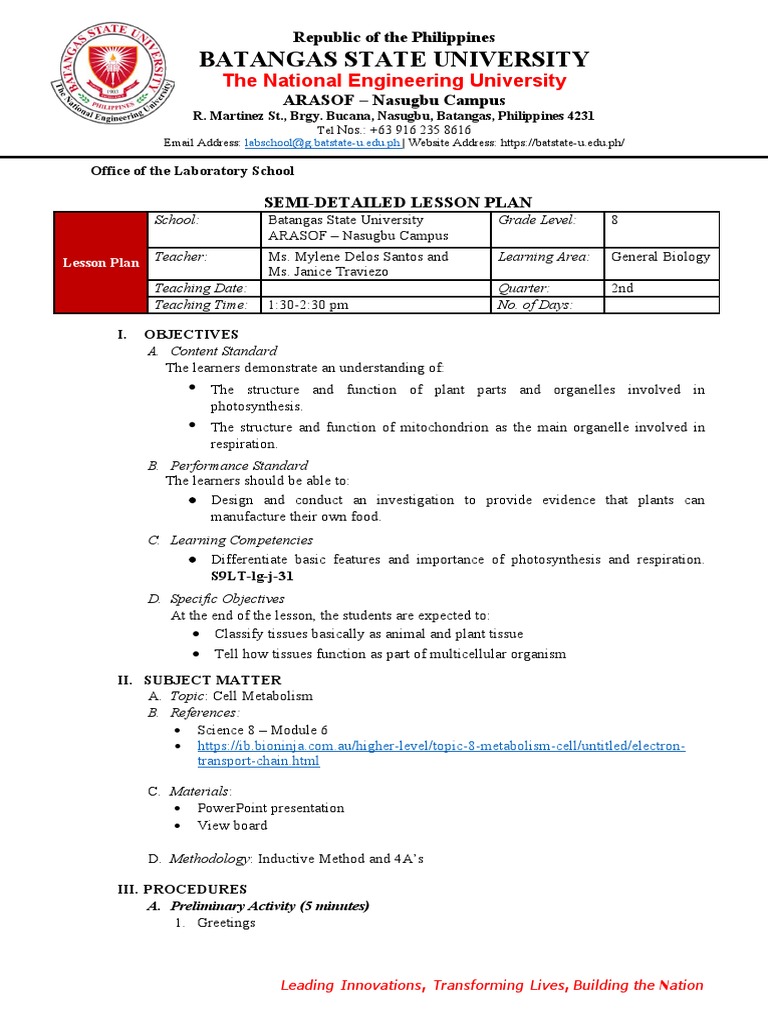 Lesson Plan in Module 8 | PDF | Tissue (Biology) | Plant Stem