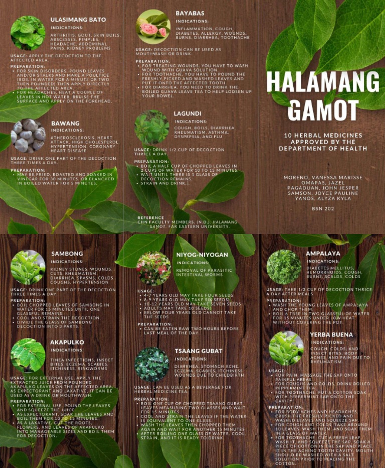 Halamang Gamot Brochure | PDF