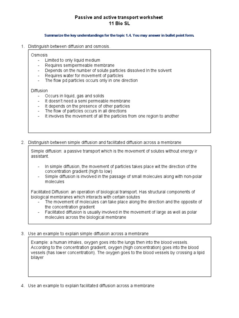 Active vs Passive Transport Overview | PDF | Cell Membrane | Diffusion