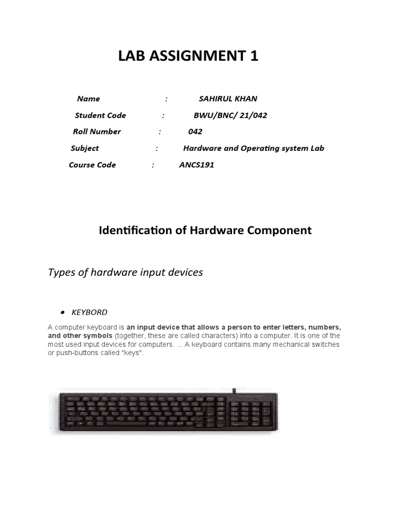 Bwu BNC 21 042 | PDF | Computer Keyboard | Random Access Memory