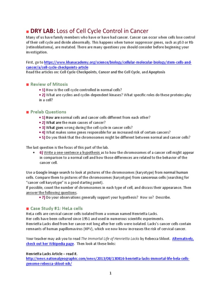 Cell Cycle Lab - HeLa and Cancer | PDF | Cell Cycle | He La