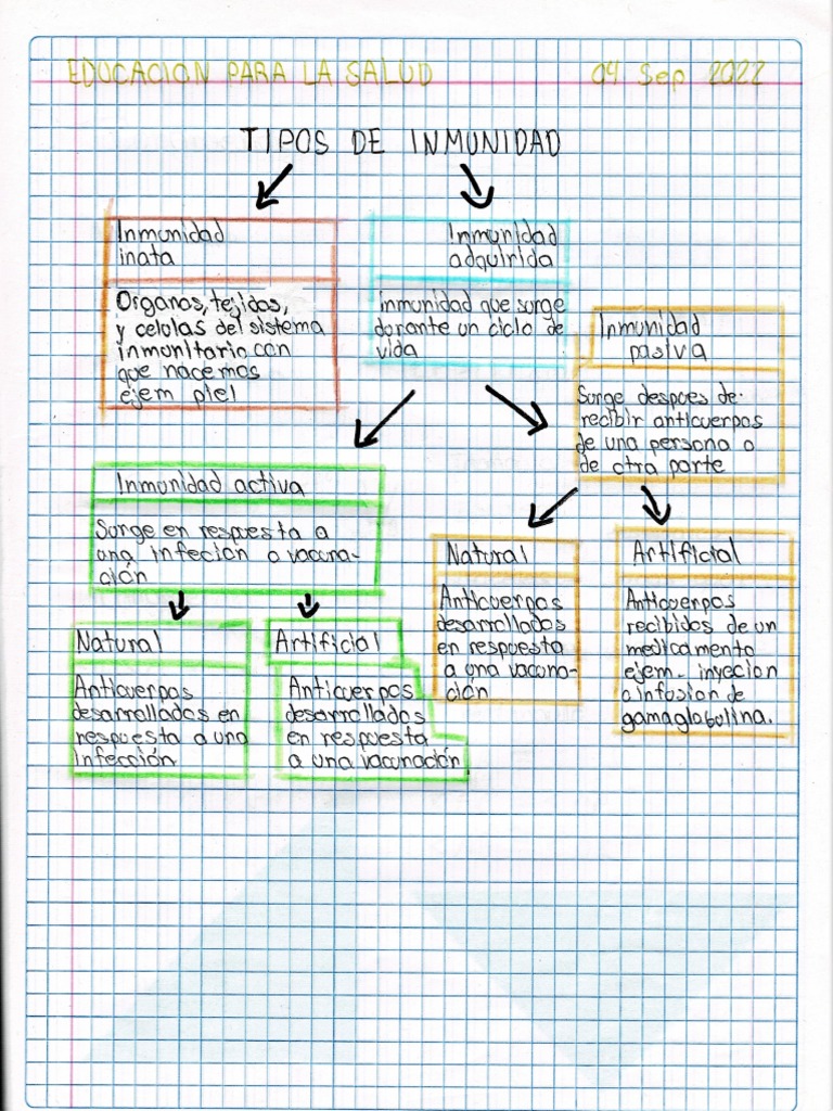Tipos de Inmunidad | PDF