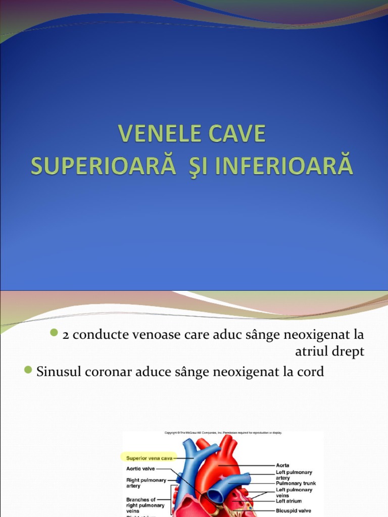 Sistemul Venos Cav | PDF