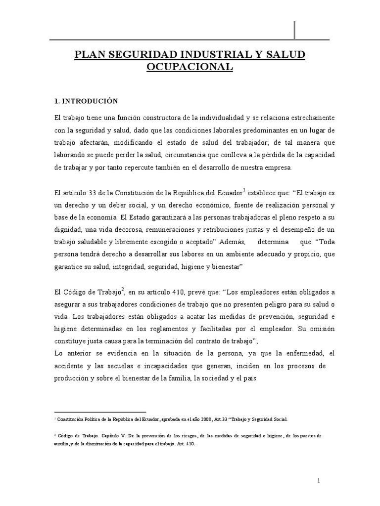 Plan de Seguridad y Salud Modelo | PDF | Seguridad y salud ocupacional | Valores