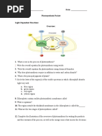 Photosynthesis POGIL Answer Key | PDF | Photosynthesis | Chloroplast