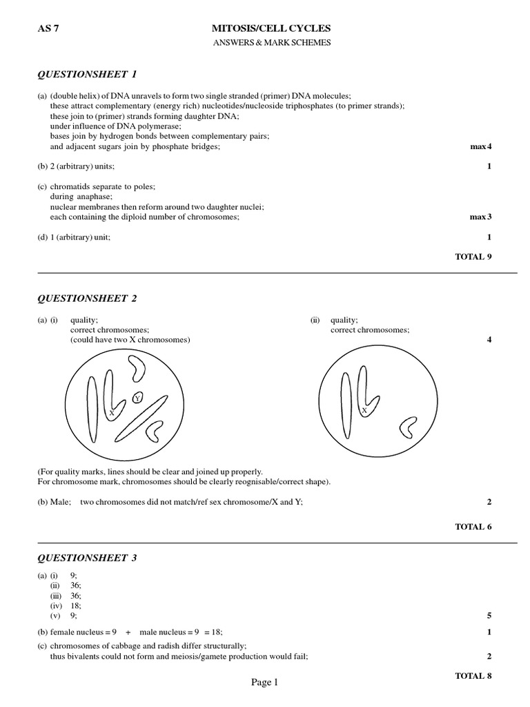 Mitosis and Cell Cycles MS | PDF | Mitosis | Meiosis