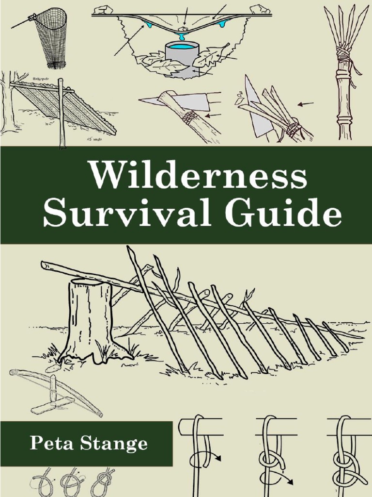 Wilderness Survival Guide: Essential Skills for Using Nature's ...