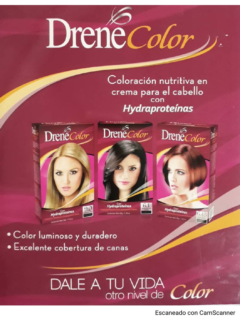 Carta Colores Drene Color | PDF