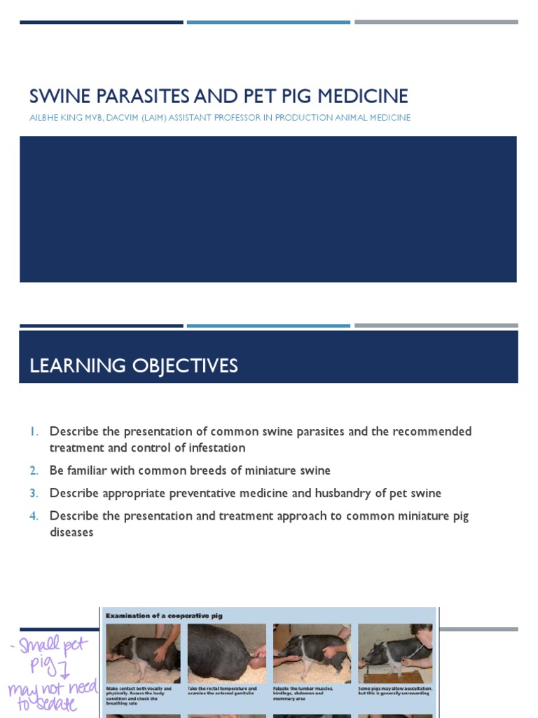 Swine 7 | PDF | Pig | Medical Specialties