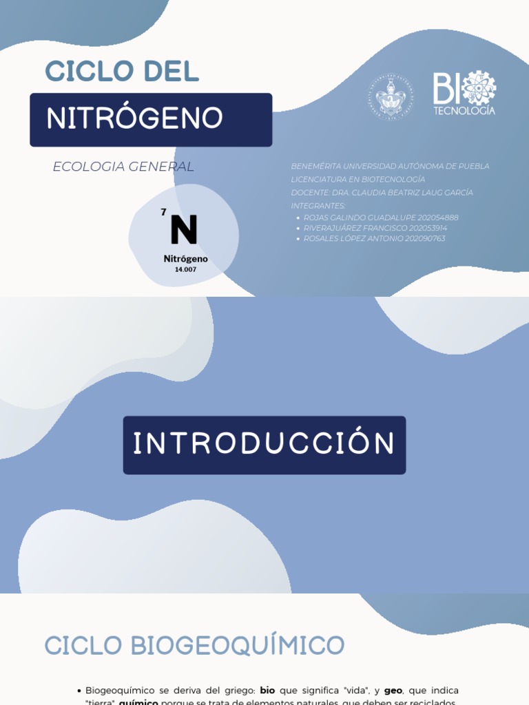 Ciclo Del Nitrogeno | PDF | Nitrógeno | Nitrato