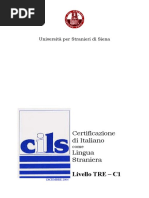 17 Modelli Di Test CILS Italiano C1 (Dicembre 2004) | PDF