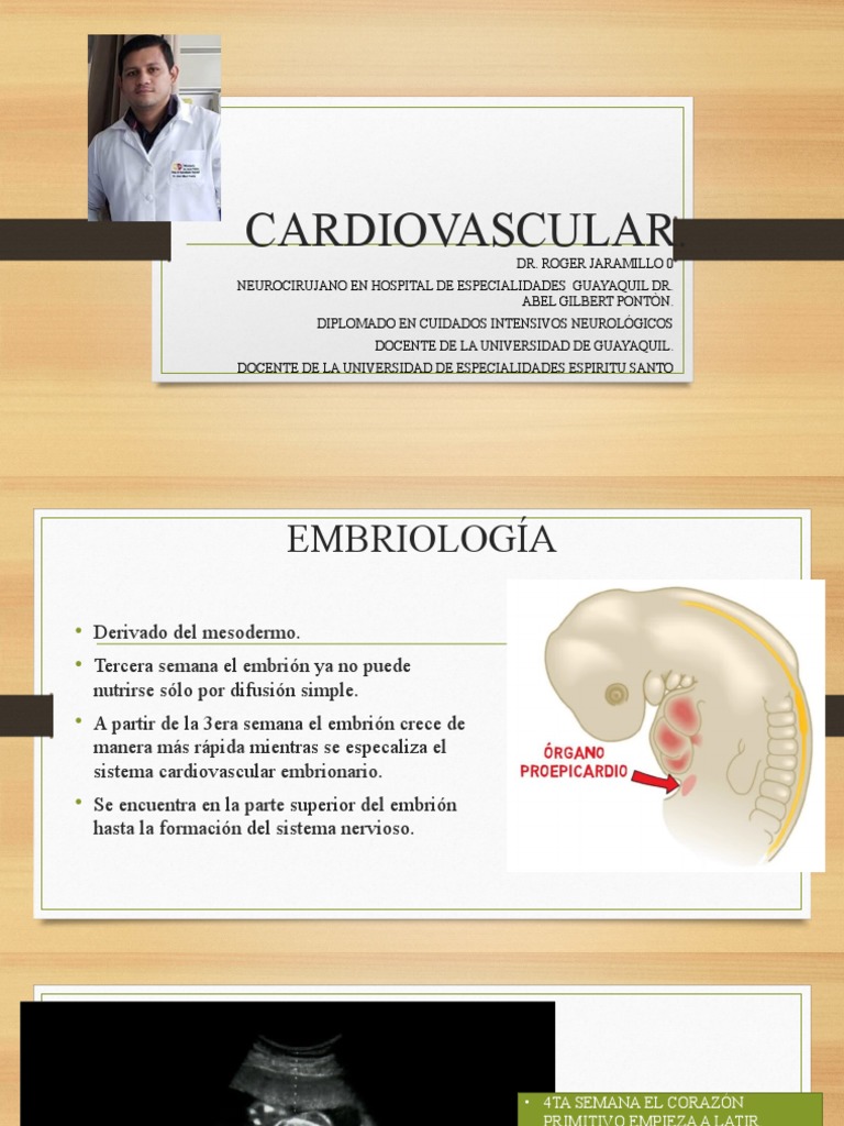 Clase 5, Cardiovascular | PDF | Ciencia y matemáticas
