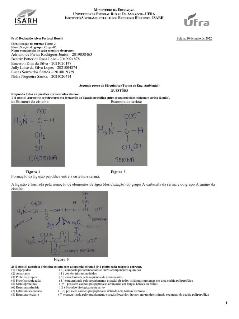 Prova de Bioquímica para Eng. Ambiental | PDF | Proteínas | DNA