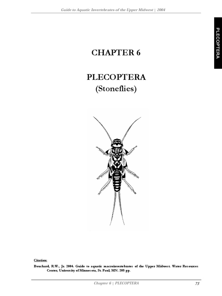 Plecoptera | PDF