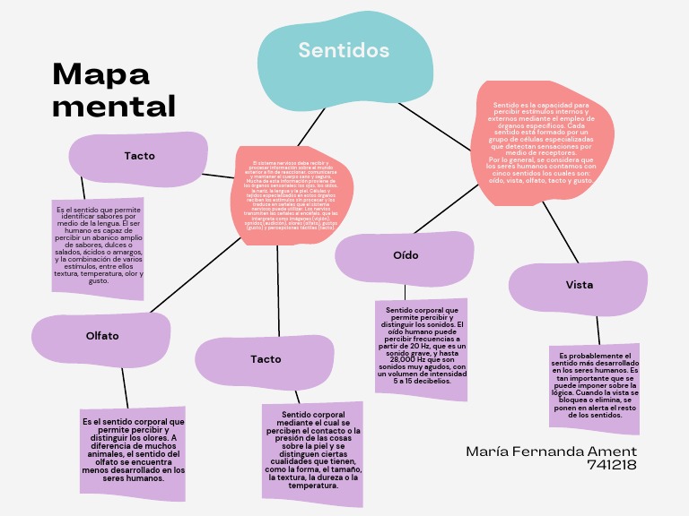 Mapa Mental de los 5 Sentidos | PDF | Gusto | Experiencia subjetiva