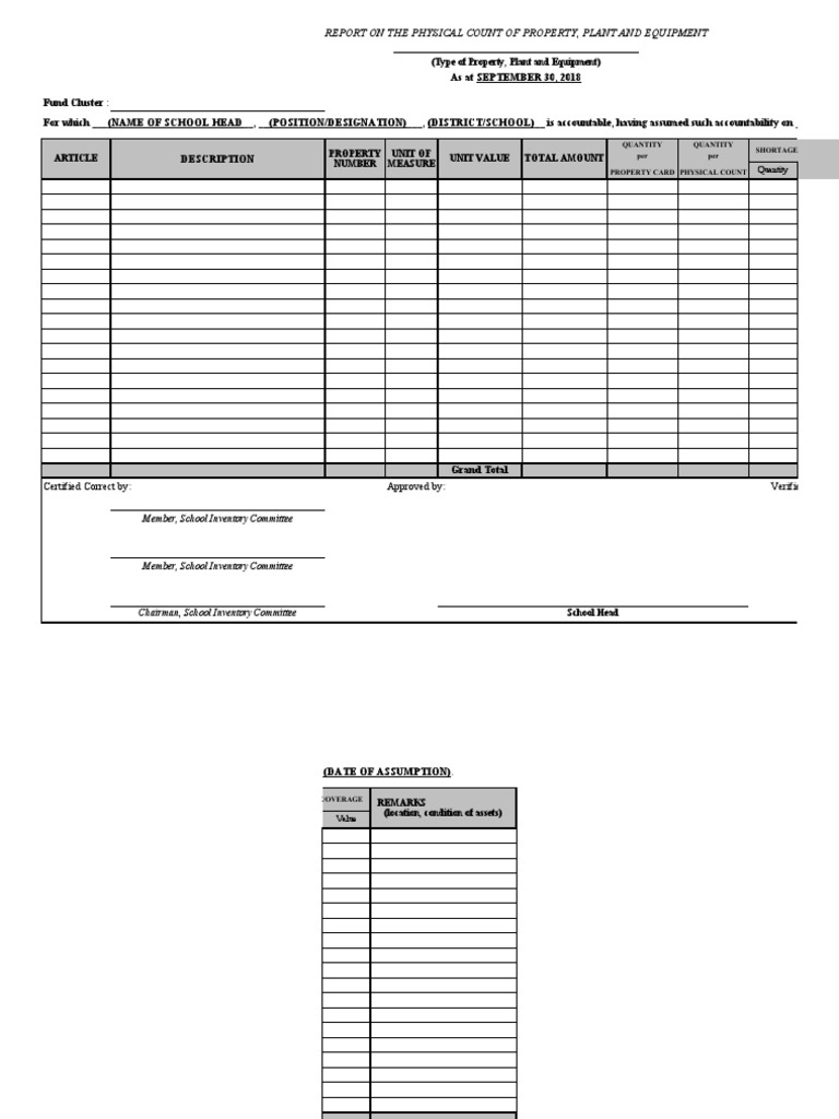 Blank Rpcppe Form | PDF | Fixed Asset | Economies