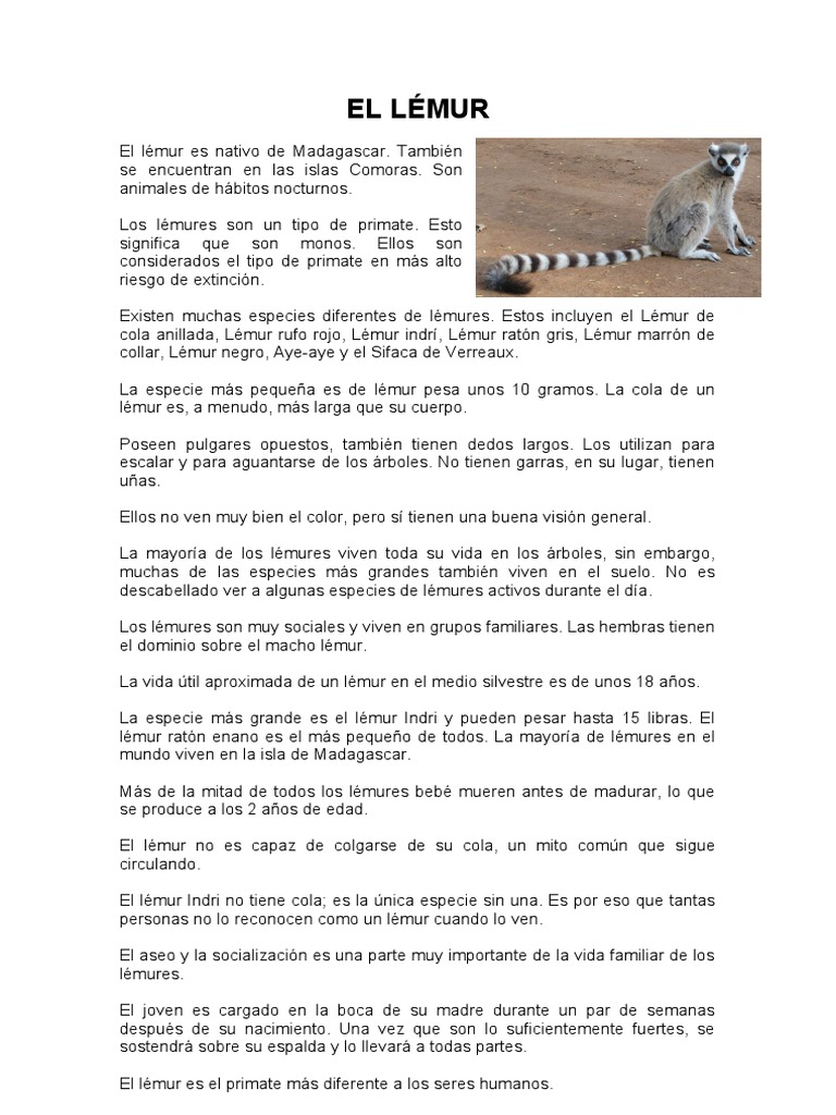 El Lémur | PDF | Taxonomía de mamíferos | Órdenes de mamíferos