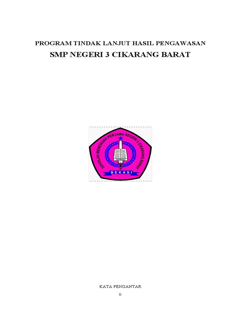 Program Tindak Lanjut Hasil Pengawasan | PDF