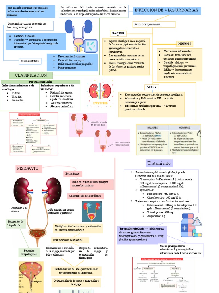 Fisiopatología de Infección Urinaria en Hombres | PDF | Infección del ...