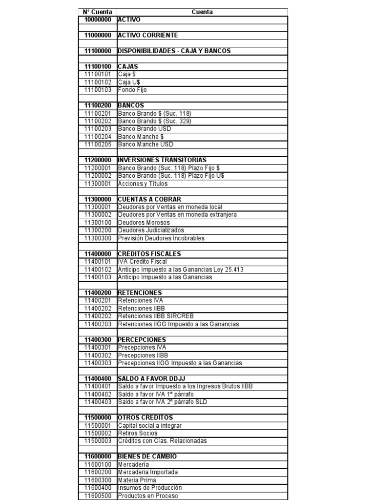 Ejemplo Plan de Cuentas de Una SRL | PDF | Deuda | Amortización (Negocio)