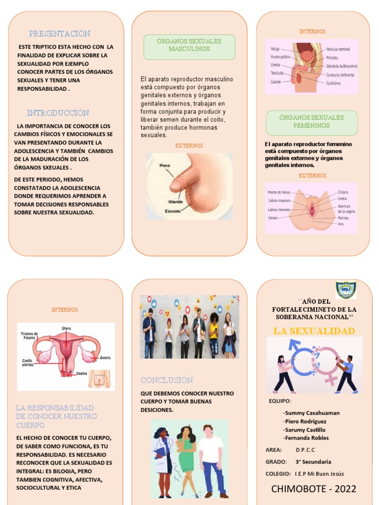 Triptico de La Sexualidad | PDF | Sistema reproductivo | La sexualidad humana