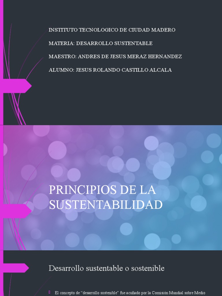Principios de La Sustentabilidad | PDF | Sustentabilidad | Desarrollo sostenible