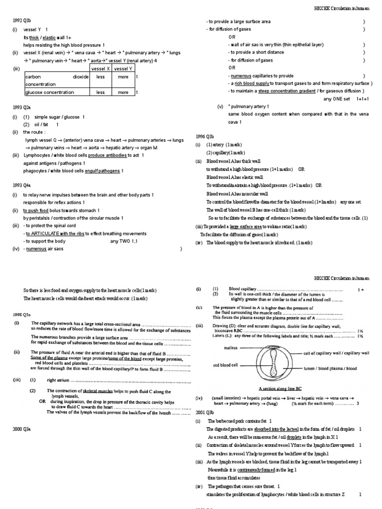 Chapter 9 Answer | PDF | Blood Vessel | Artery