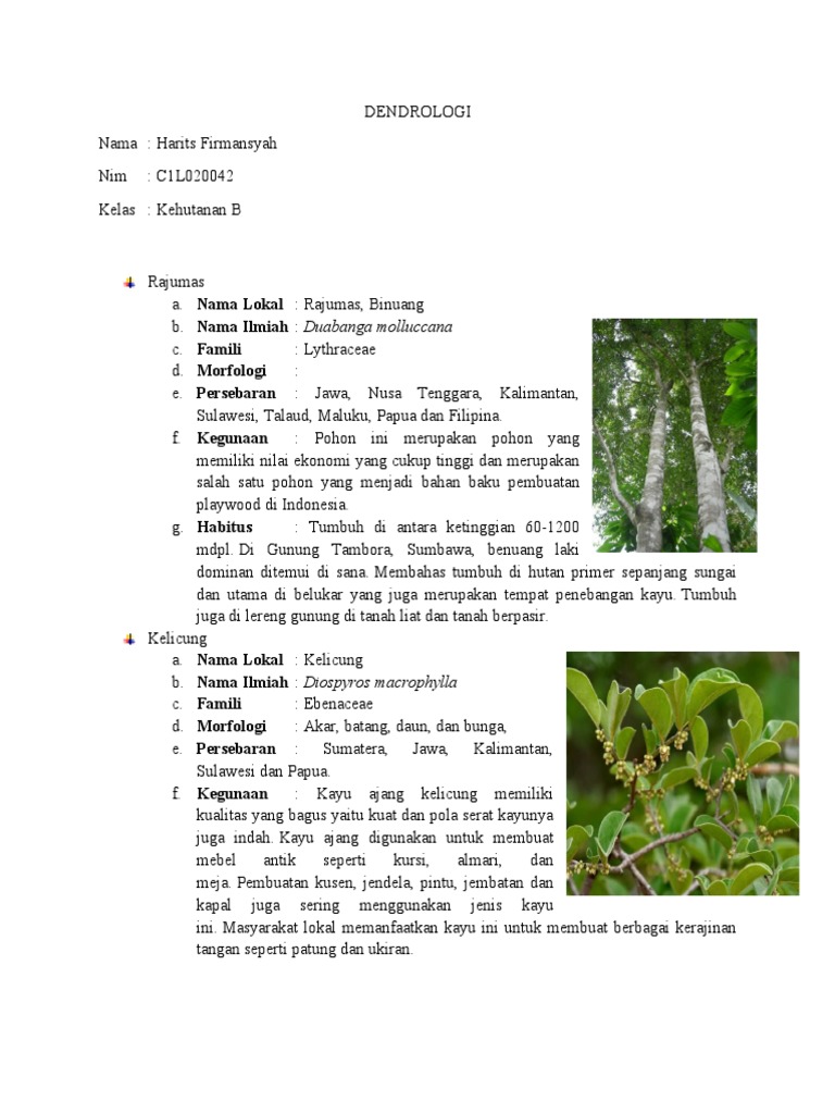 DENDROLOGI Firman | PDF
