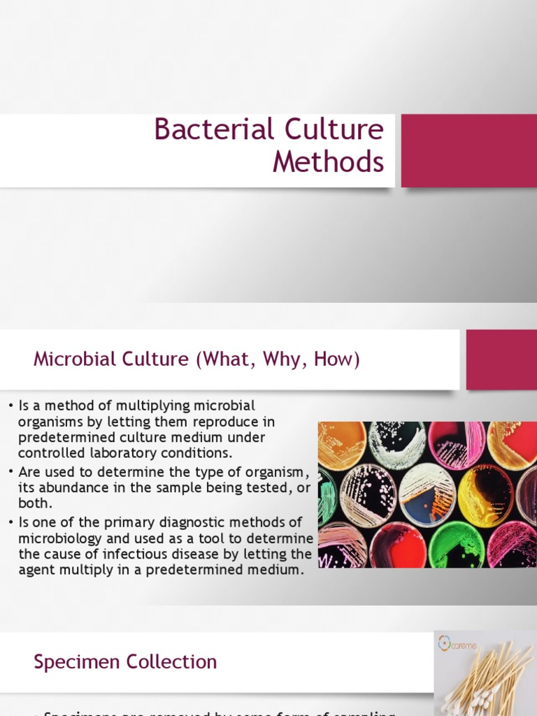Bacterial Culture Techniques Guide | PDF | Growth Medium | Microbiology