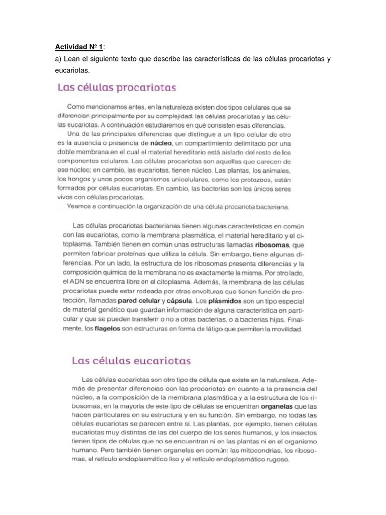 Actividad Celula 2do A | PDF
