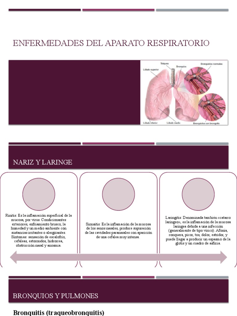 Enfermedades Del Aparato Respiratorio | PDF | Tos | Pulmón