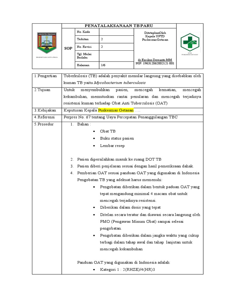 PENGELOLAAN PENGOBATAN TB PARU | PDF