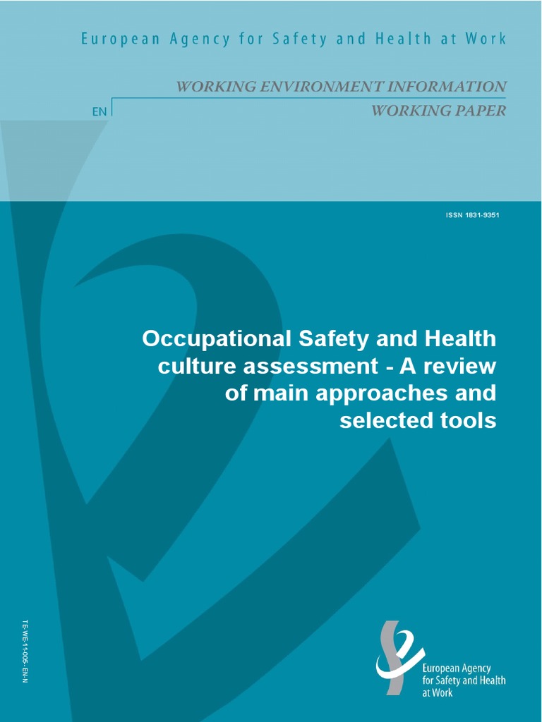Culture Assessment Soar en | PDF | Occupational Safety And Health ...